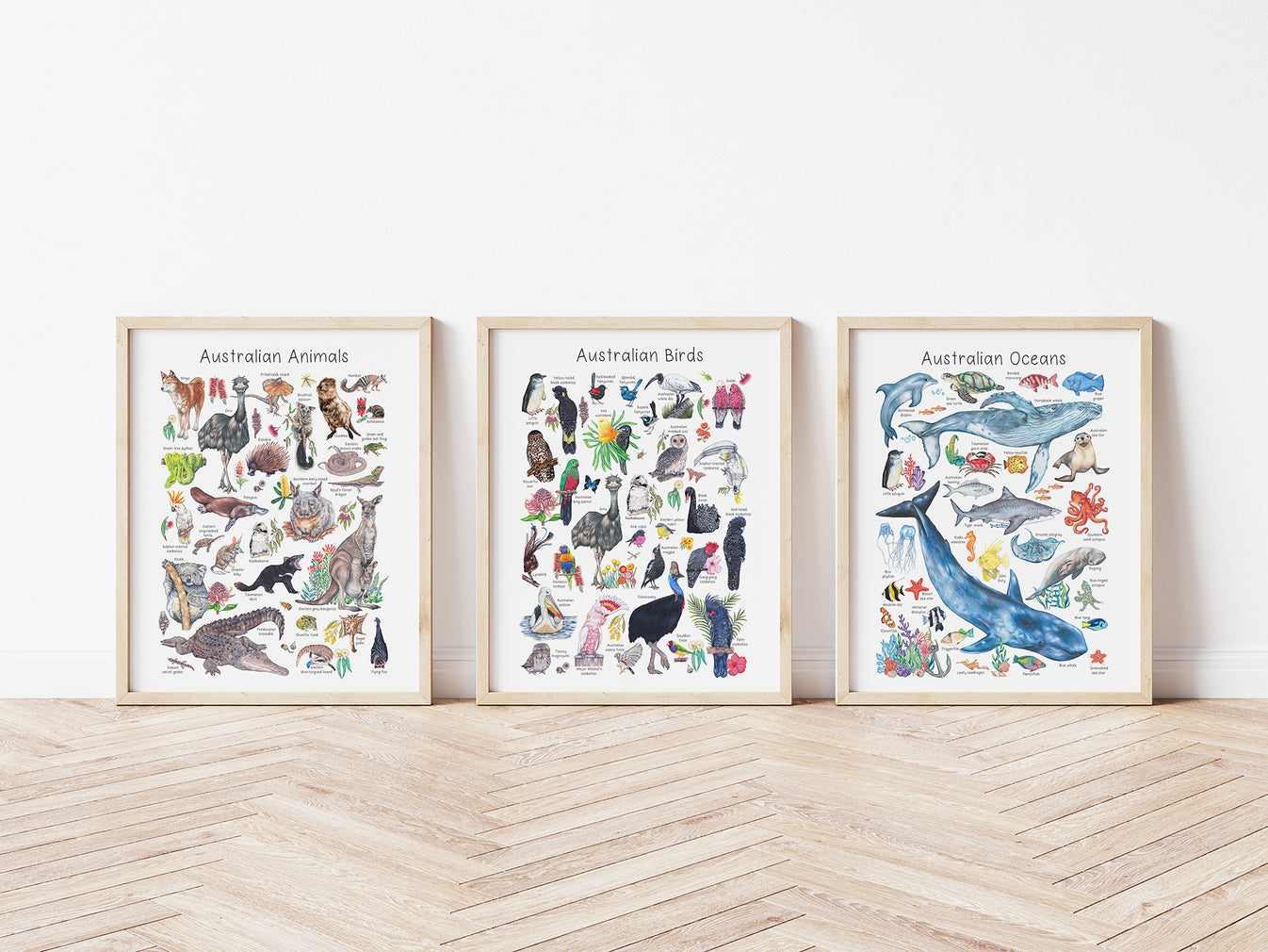 Australian Animal Poster DIGITAL DOWNLOAD – My Tiny Explorer