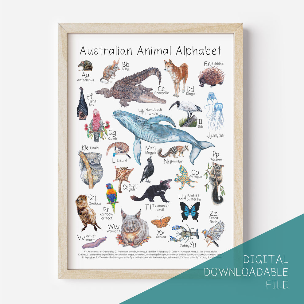 Australian Animal Alphabet Poster DIGITAL DOWNLOAD – My Tiny Explorer
