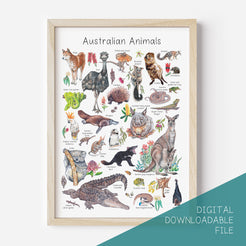 Australian Animal Poster DIGITAL DOWNLOAD – My Tiny Explorer