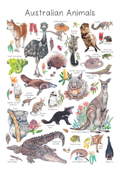 Australian Animal Poster DIGITAL DOWNLOAD – My Tiny Explorer