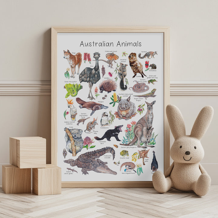 Digital Downloads – My Tiny Explorer