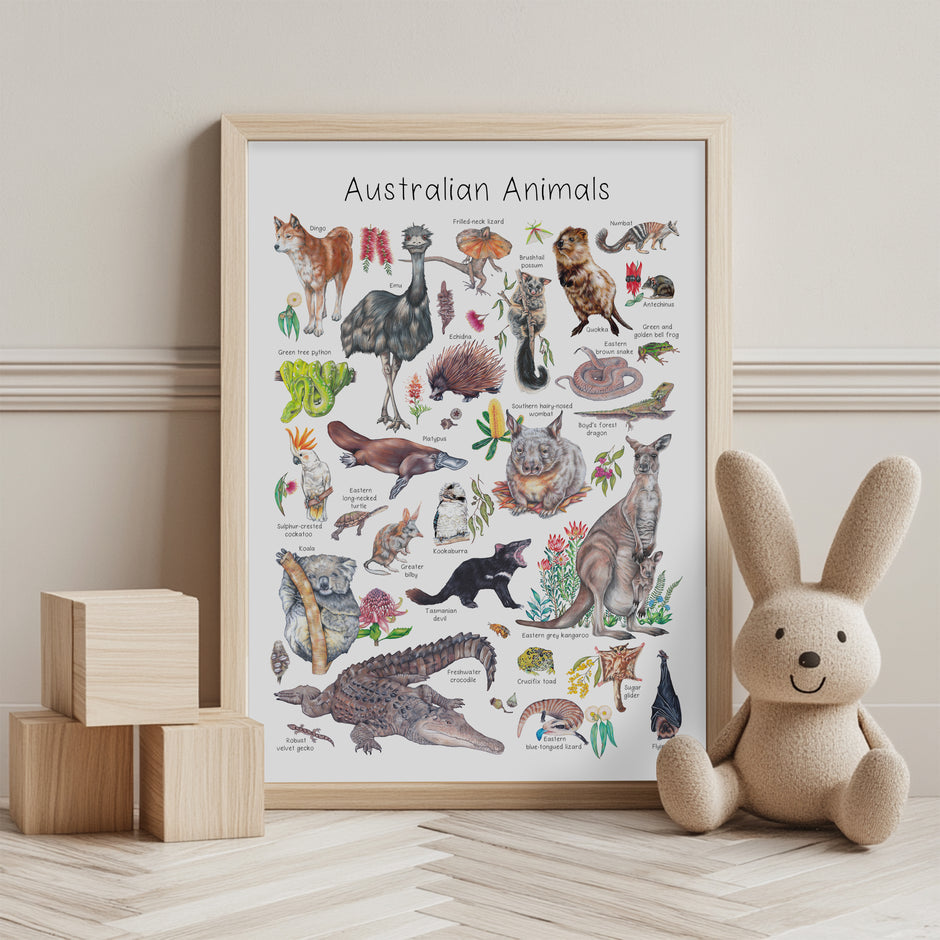 Digital Downloads – My Tiny Explorer