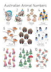 Prints – My Tiny Explorer